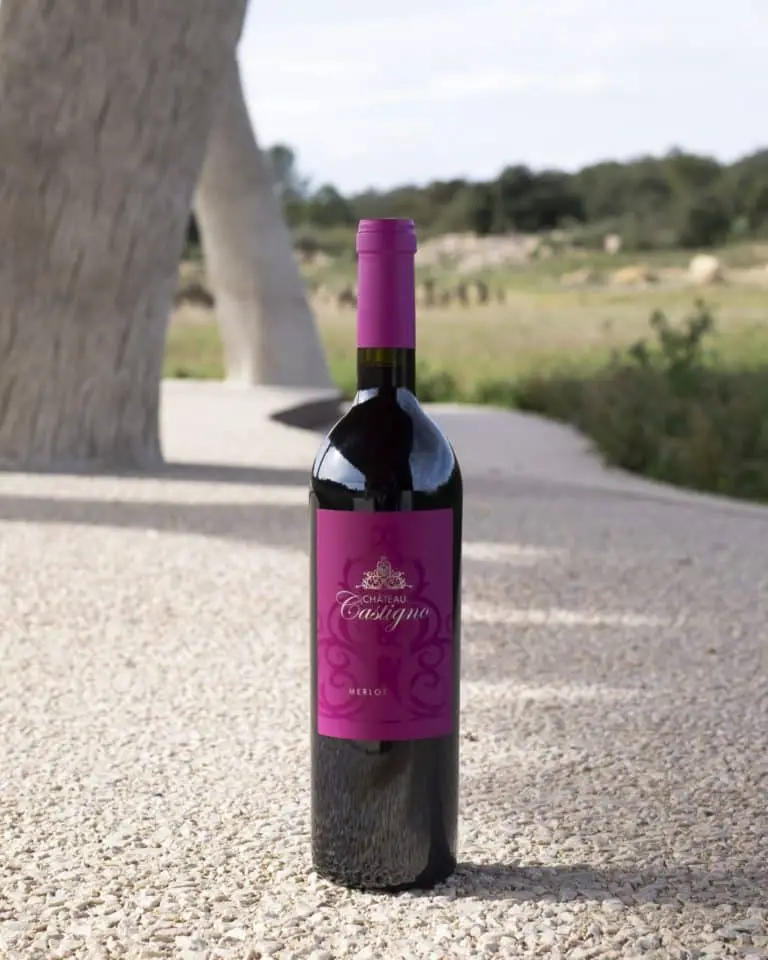 Quels sont les Différents Types de Vin Rouge ? (8 variétés principales)